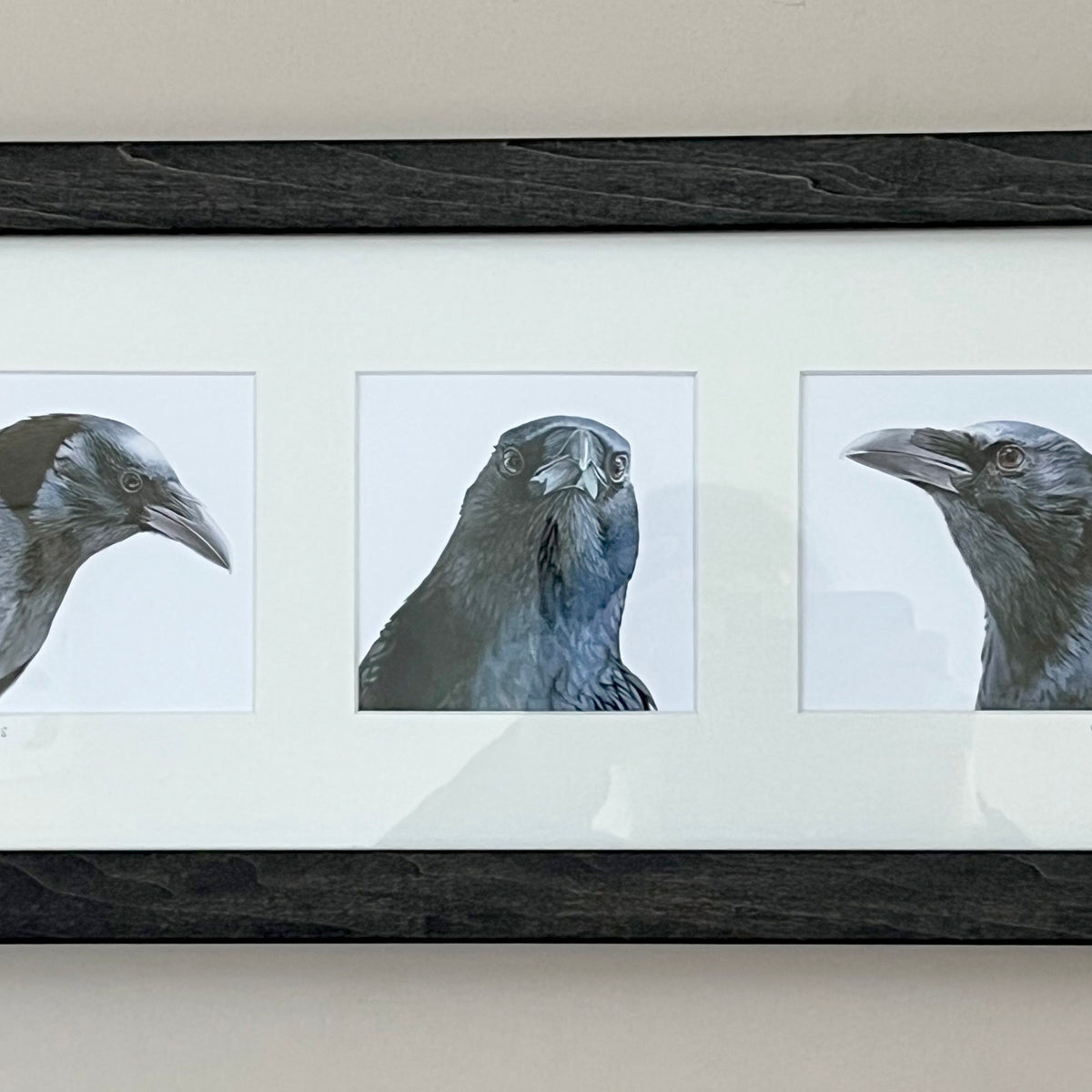 Three Crows – Cori Lee Marvin