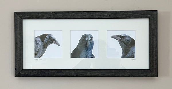 Three Crows – Cori Lee Marvin